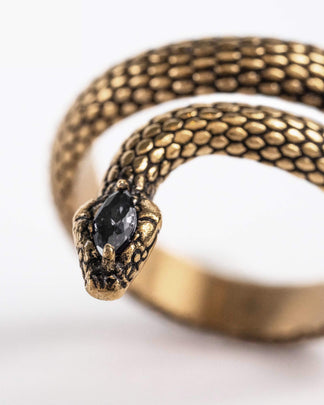 Sorcerer Serpent Ring | Rings | Ask & Embla – Ask and Embla